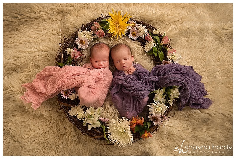 Columbia Twin Newborn Photographer Captures Love & Joy